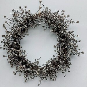 White Preserved Stirlingia Wreath Australian Native Everlasting Flowers ...