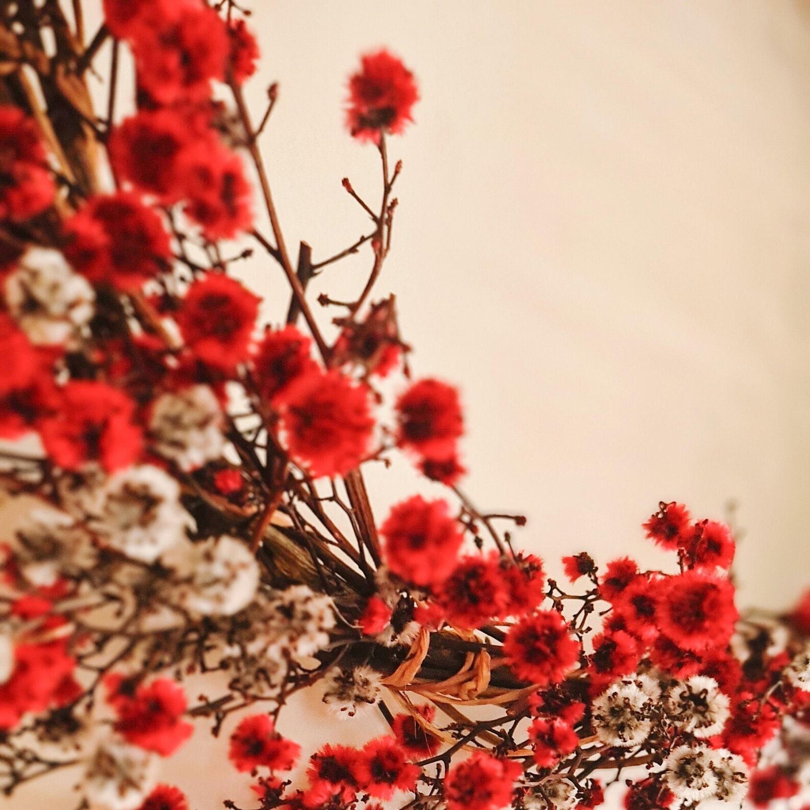Red Berry Wreath Australian Native Dried Flower Décor Festive Holiday ...