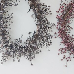 White Preserved Stirlingia Wreath Australian Native Everlasting Flowers ...