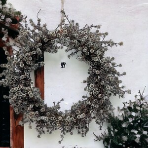 White Preserved Stirlingia Wreath Australian Native Everlasting Flowers ...