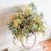 Dried Golden Yellow Wattle Flowers Blossom Natural Dried Bunch Posy ...
