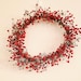 Red Berry Wreath Australian Native Dried Flower Décor Festive Holiday ...