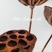 Large Natural Dried Lotus Pod Stems Dry Lotus Pod Seeds Brown Flower ...