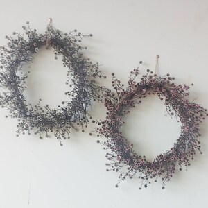 White Preserved Stirlingia Wreath Australian Native Everlasting Flowers ...