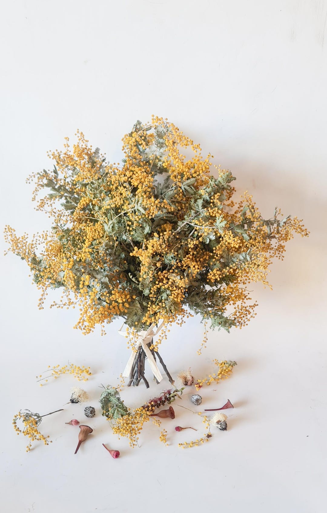Dried Golden Yellow Wattle Flowers Blossom Natural Dried Bunch Posy ...