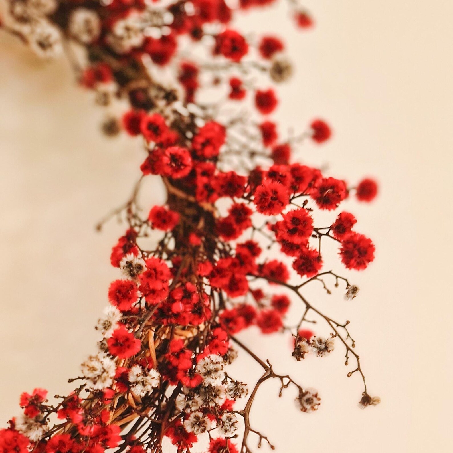 Red Berry Wreath Australian Native Dried Flower Décor Festive Holiday ...
