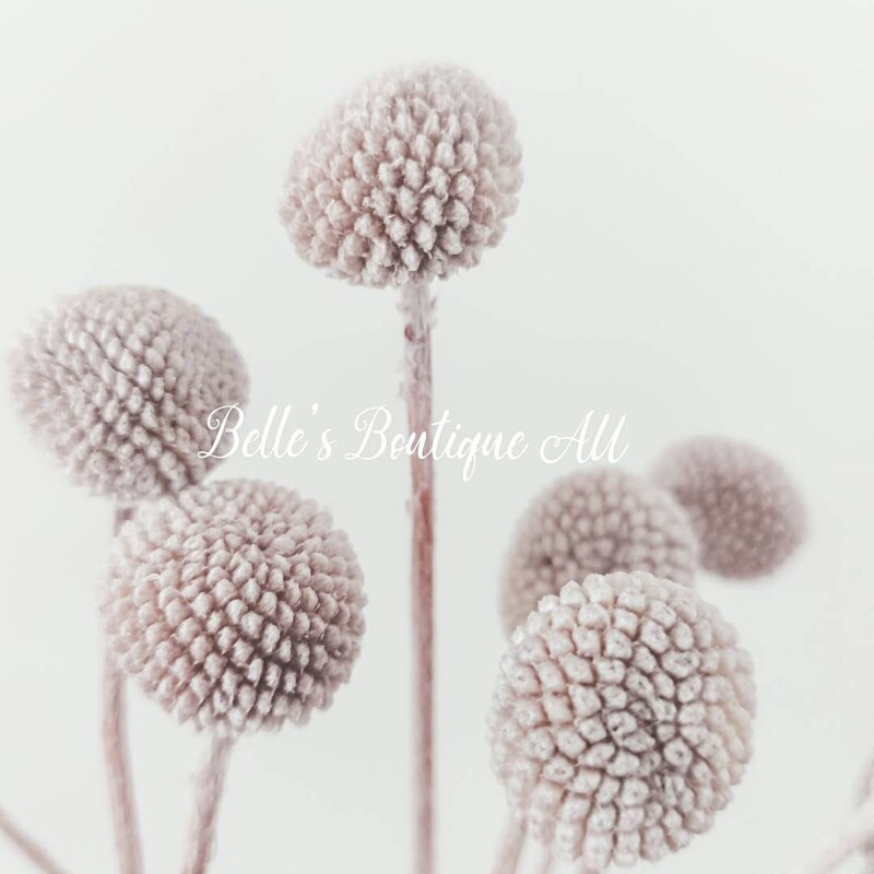 Billy Buttons - Etsy