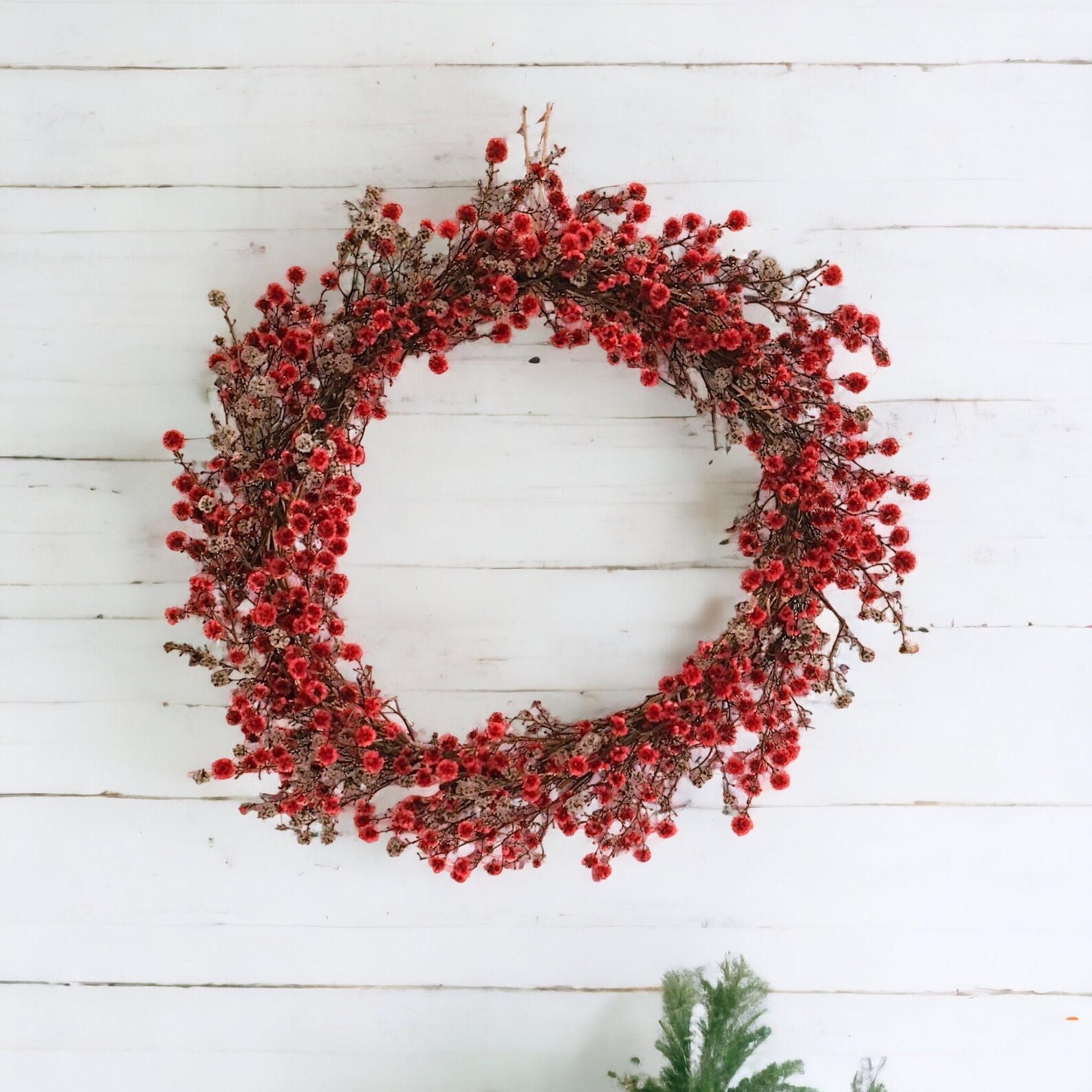 Red Berry Wreath Australian Native Dried Flower Décor Festive Holiday ...