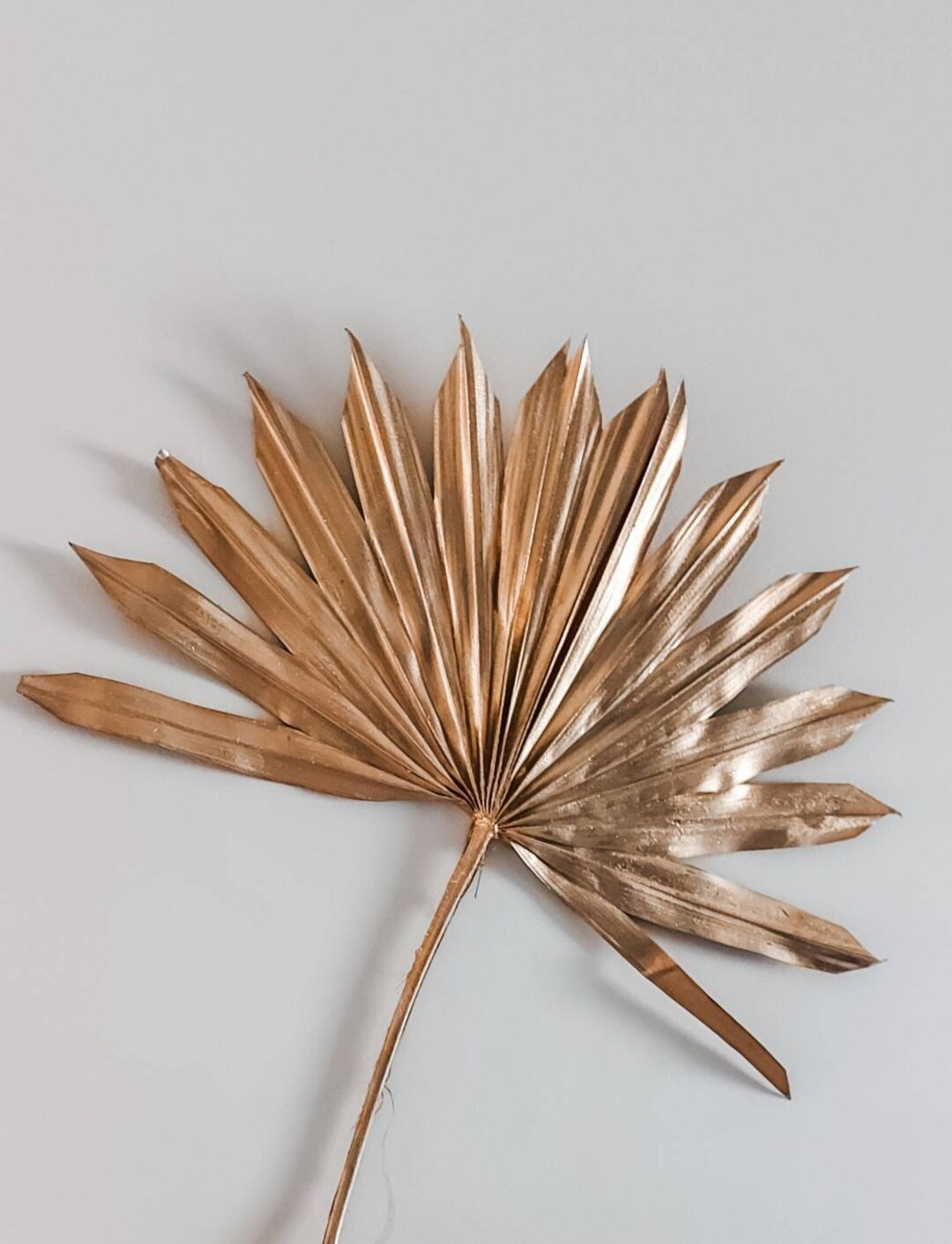 Metallic Gold Dried Sun Palm Leaf: Boho Wedding Decor - Etsy