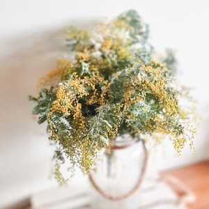 Dried Golden Yellow Wattle Flowers Blossom Natural Dried Bunch Posy ...