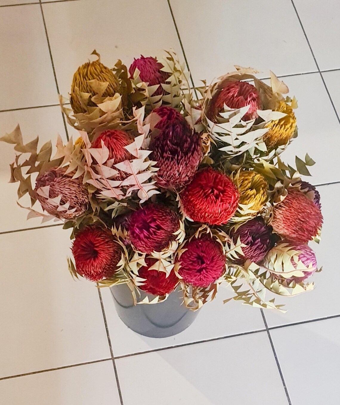 Natural Dried Banksia Baxteri Flowers Coloured Australian Native Flora ...