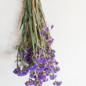 Dried Purple Statice Flowers Flora Natural Preserved Limonium Sea ...