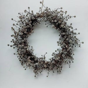 White Preserved Stirlingia Wreath Australian Native Everlasting Flowers ...