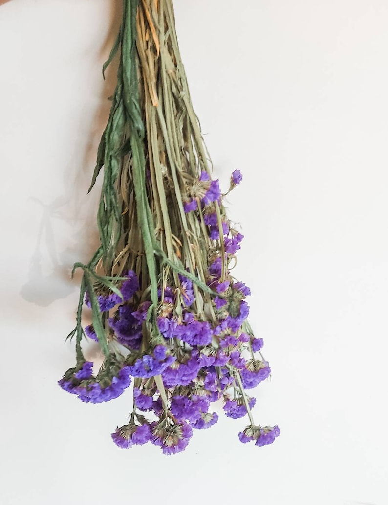 Dried Purple Statice Flowers Flora Natural Preserved Limonium Sea ...