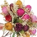 Natural Dried Banksia Baxteri Flowers Coloured Australian Native Flora ...