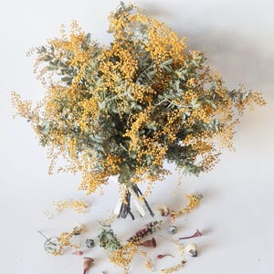 Dried Golden Yellow Wattle Flowers Blossom Natural Dried Bunch Posy ...