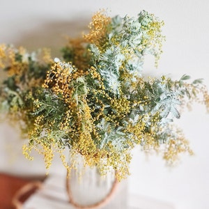 Dried Golden Yellow Wattle Flowers Blossom Natural Dried Bunch Posy ...