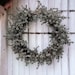 White Preserved Stirlingia Wreath Australian Native Everlasting Flowers ...