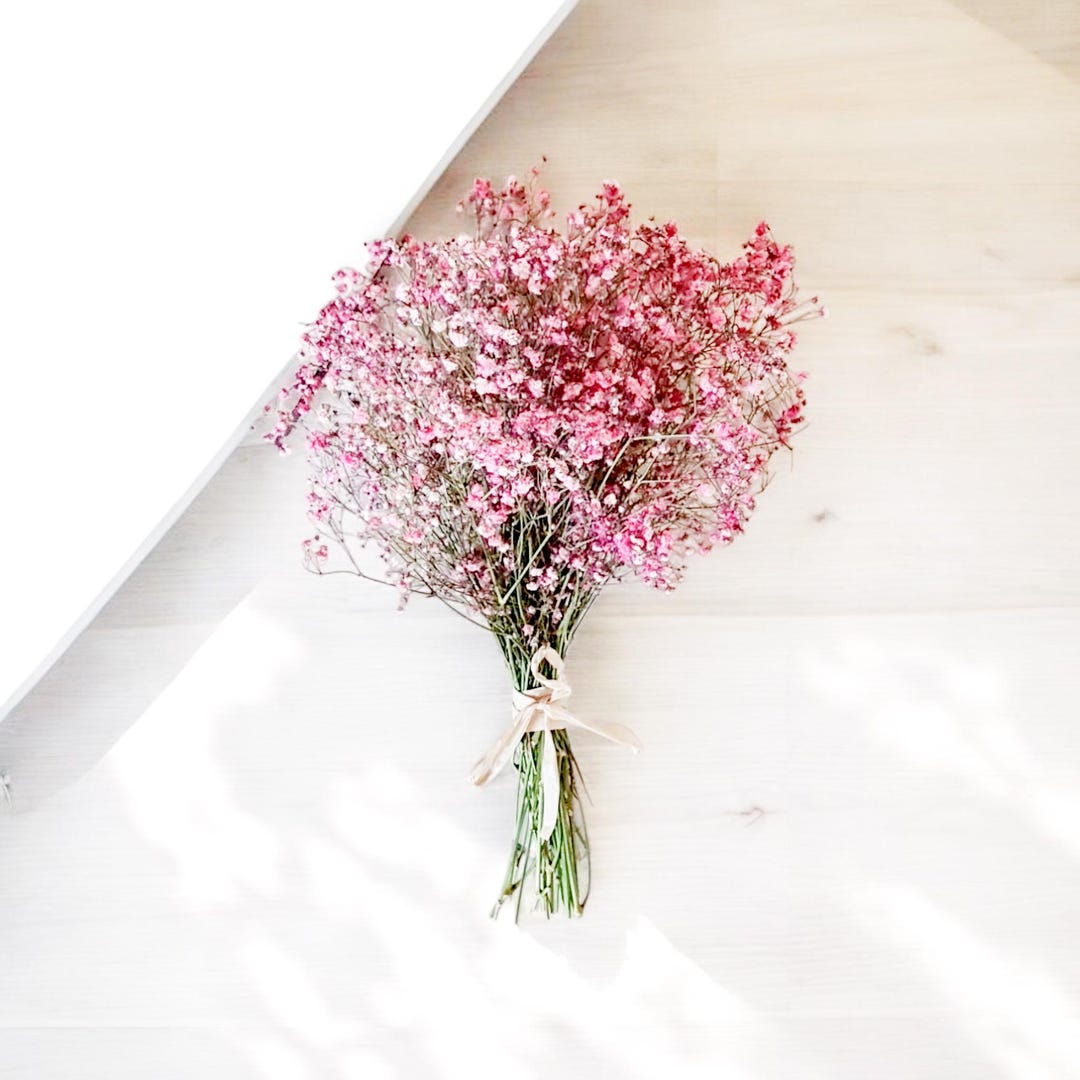 Pink Dried Babys Breath Flowers Bridal Bouquet Gypsophila Bunch Home ...