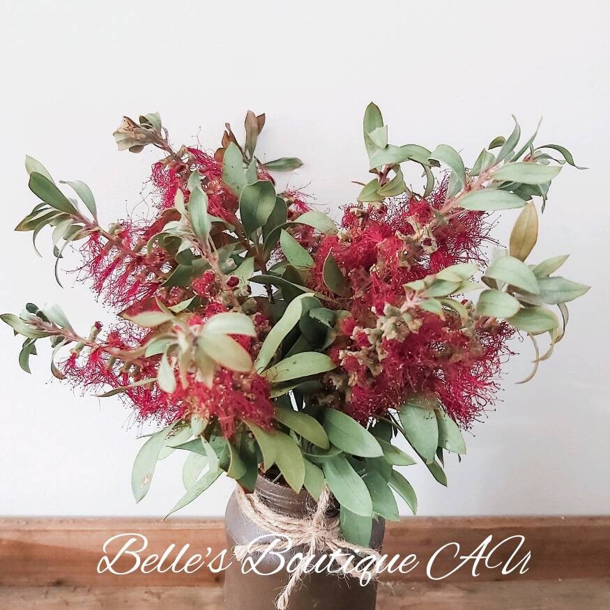 Dried Flowers Australia