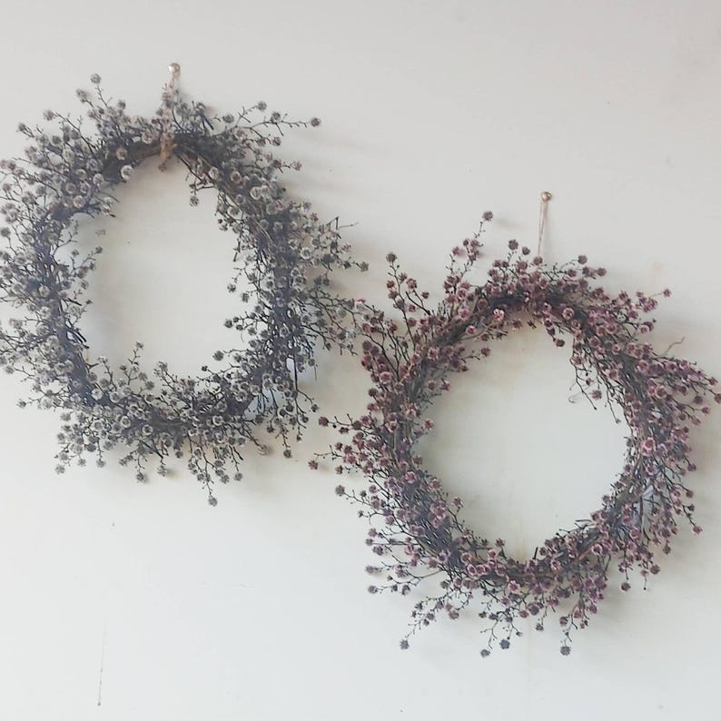 Pink Preserved Stirlingia Wreath Australian Native Flowers Easter ...