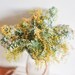 Dried Golden Yellow Wattle Flowers Blossom Natural Dried Bunch Posy ...