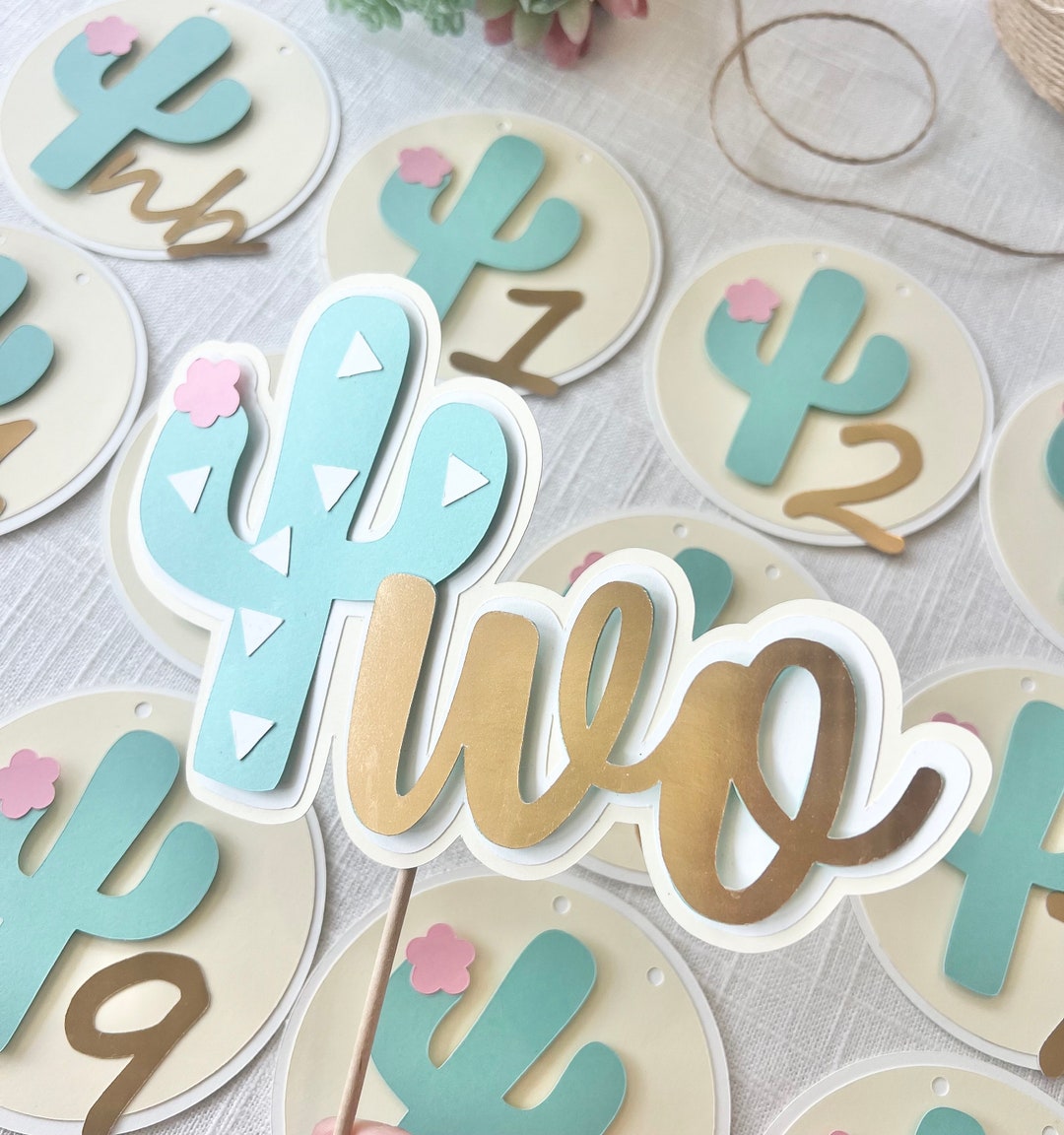 Cactus Cake Topper Two Second Birthday Cactus Theme Party - Etsy