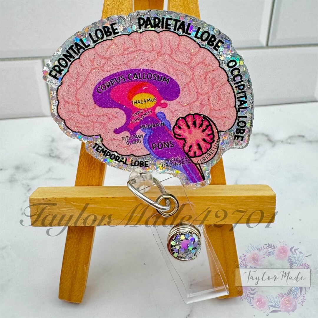 Anatomically Labeled Brain Badge Holder, Anatomic Brain Holder, Neuro ...