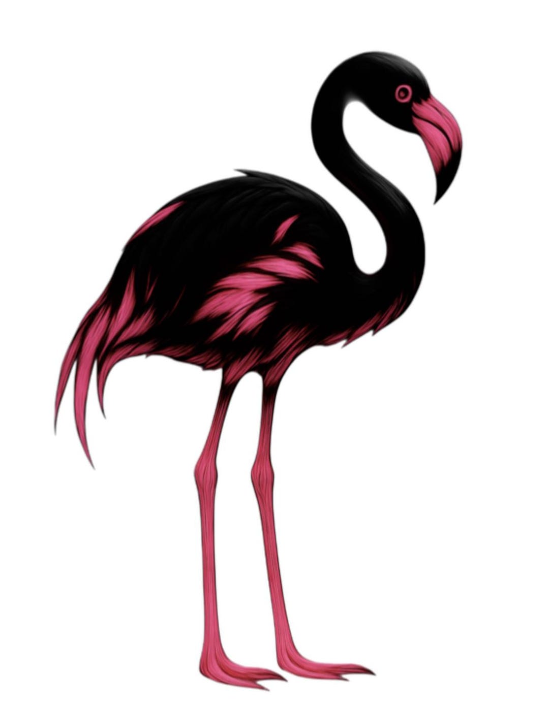 Gothic Neon Black Flamingo Sticker – Multiple Backgrounds – Clear or ...
