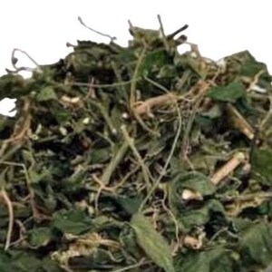 Wild-harvested Jamaican Dog Blood Bush – Herbal Womb Support | Natural ...