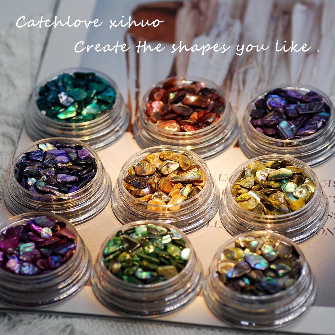 Irregularly Shaped Multicolored Abalone Shells, Natural Abalone ...