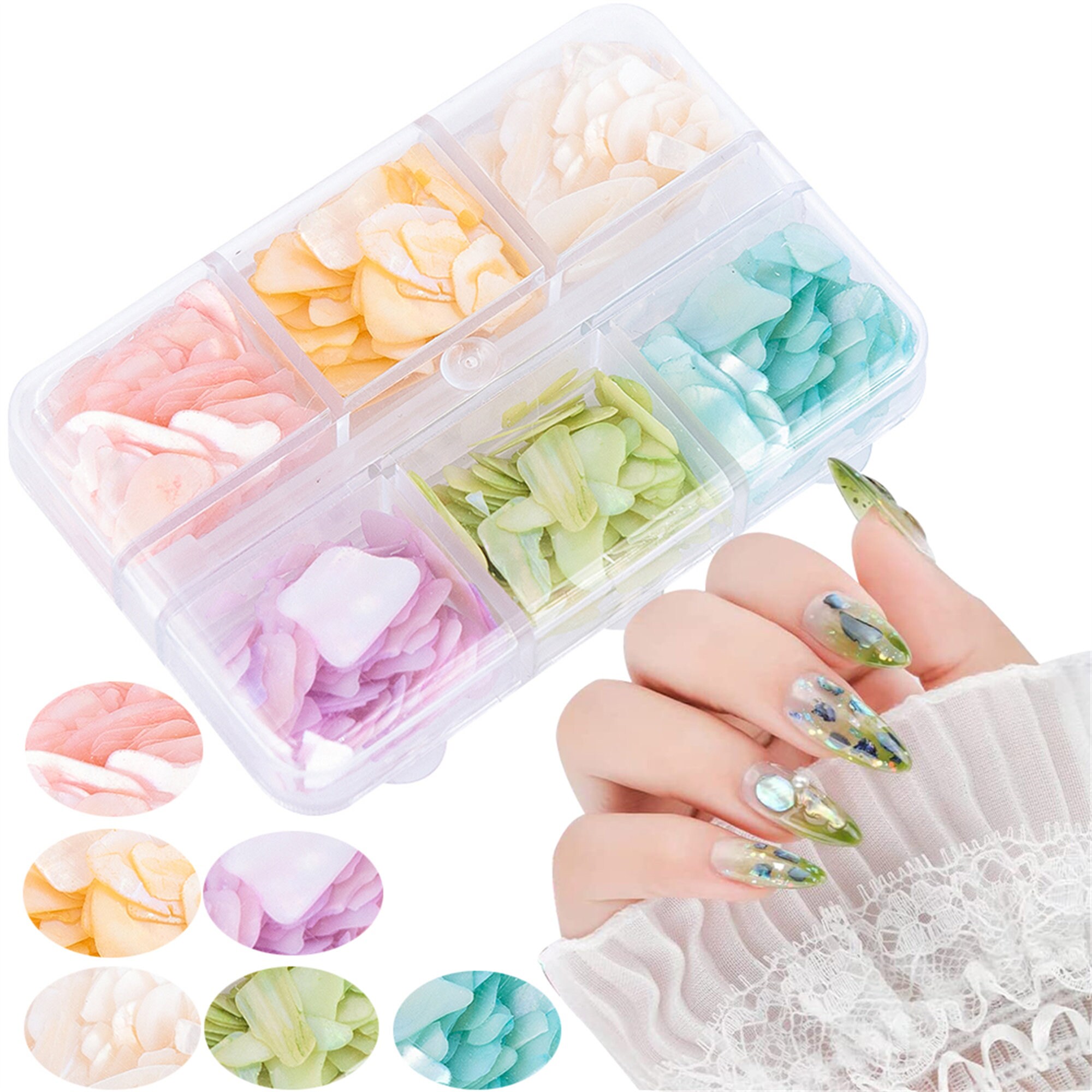 6 Grid/box 12 Grid/box Shell Slice Decal Decorations 3D - Etsy