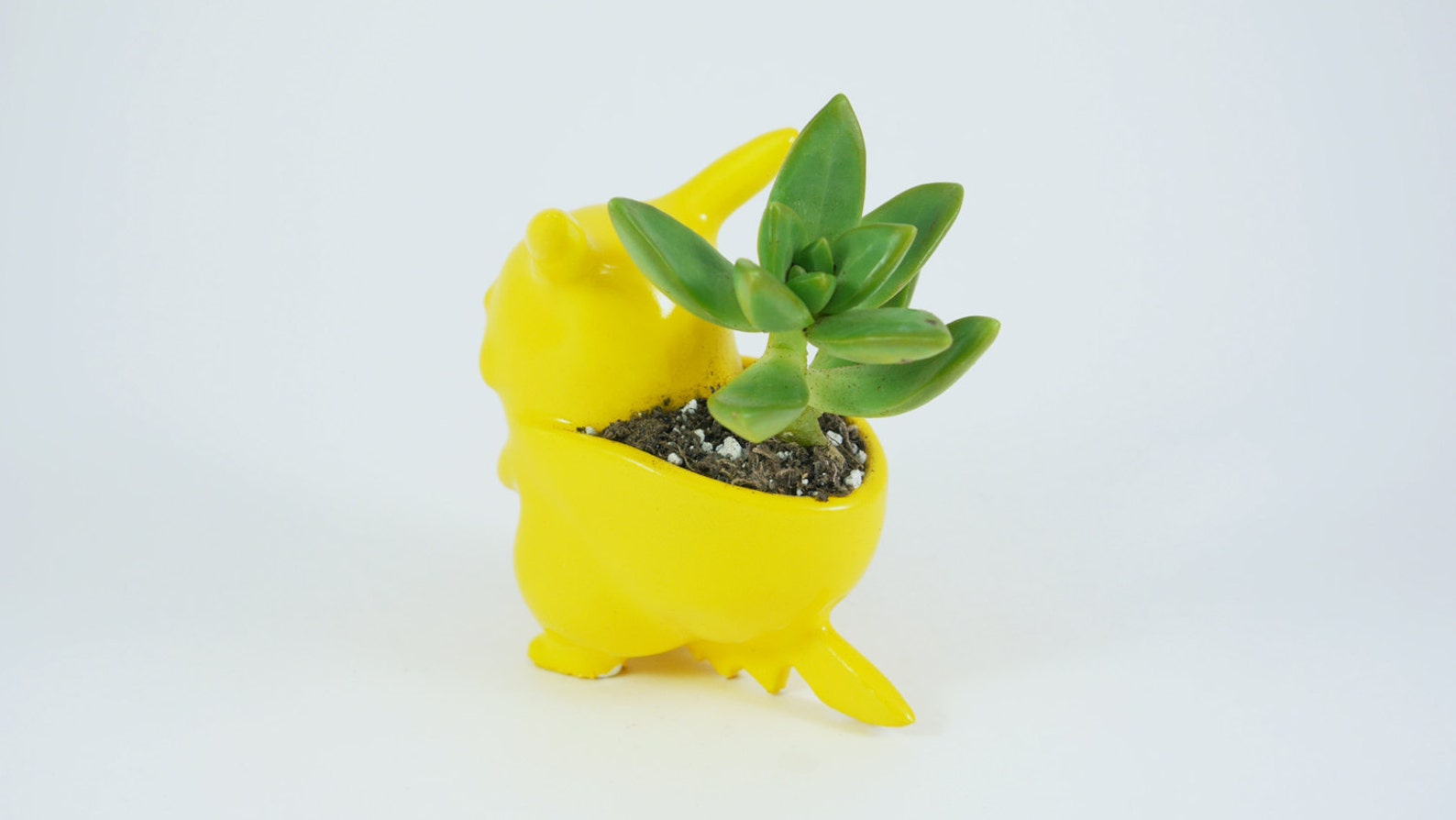 Pikachu Ceramic Planter - Etsy