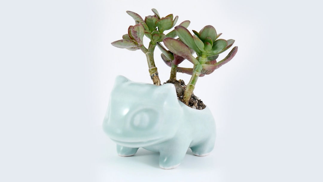 Bulbasaur Ceramic Planter - Etsy