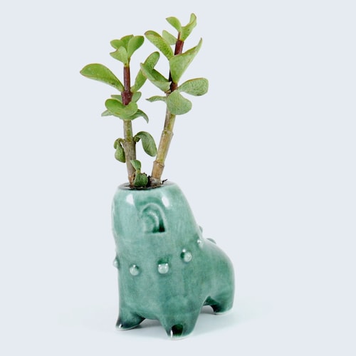 Bulbasaur Ceramic Planter - Etsy