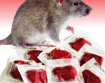Stuffed Real Mouse - Etsy
