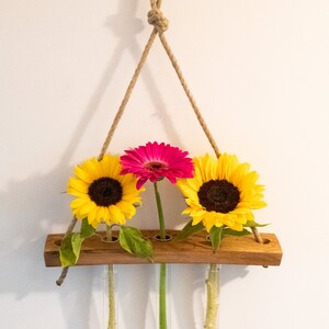 Hand Crafted, Oak Whisky Barrel Stave, Glass Test Tube Bud Vase Wall ...