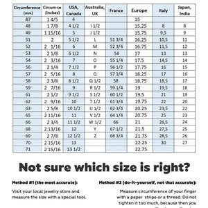 Odessa Opera House Ring, Sterling Silver, Oringo Ukrainian Cities ...