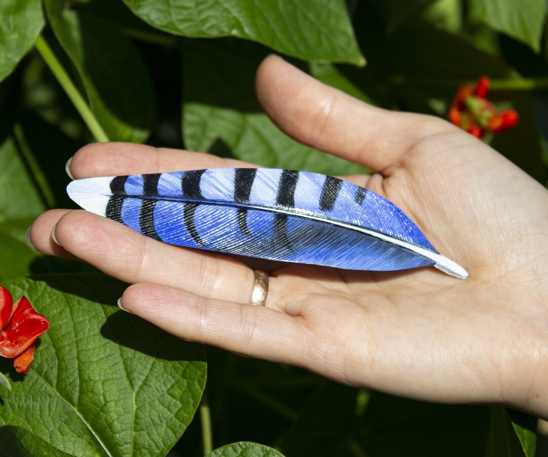 Blue Jay Feather Barrette Leather Hair Clip Hand-tooled & Hand-painted ...