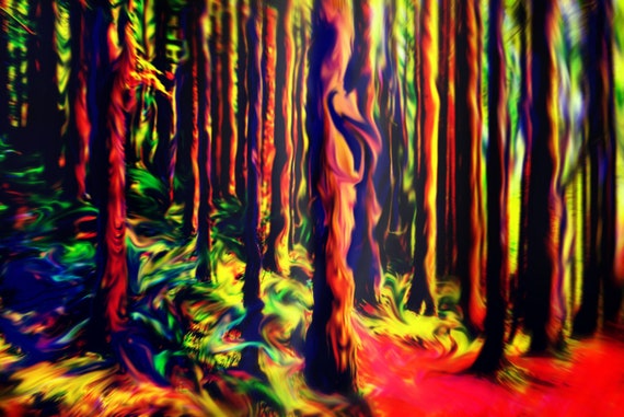 Psychedelic Woods