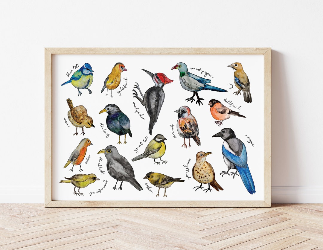 Cartel de aves UK Garden Birds - Etsy España