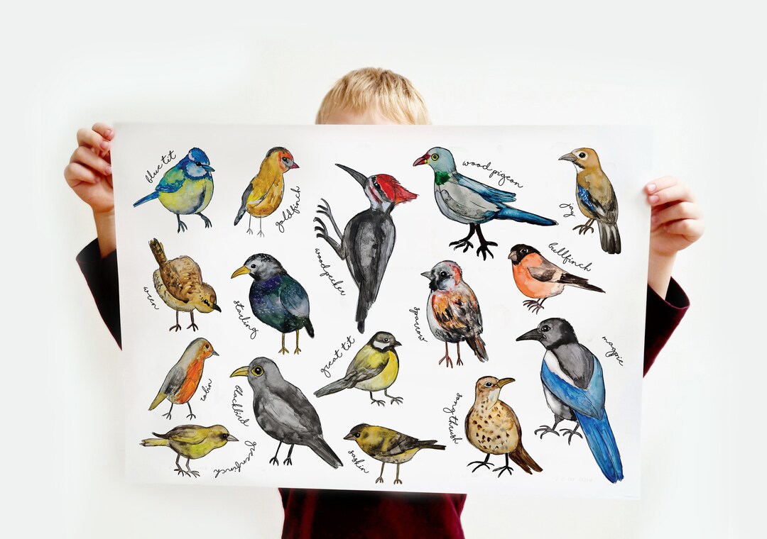 British Garden Birds Poster - Watercolour Wildlife Download - Etsy
