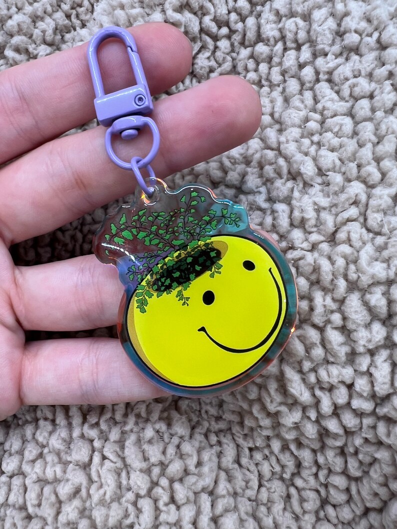 Smiley Face Fern Houseplant Rainbow Maker Iridescent Keychain, Rainbow ...