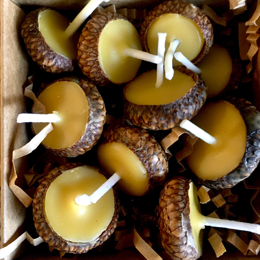 Pure Beeswax Acorn Cap Floating Candles- Sustainably Harvested, Set of ...