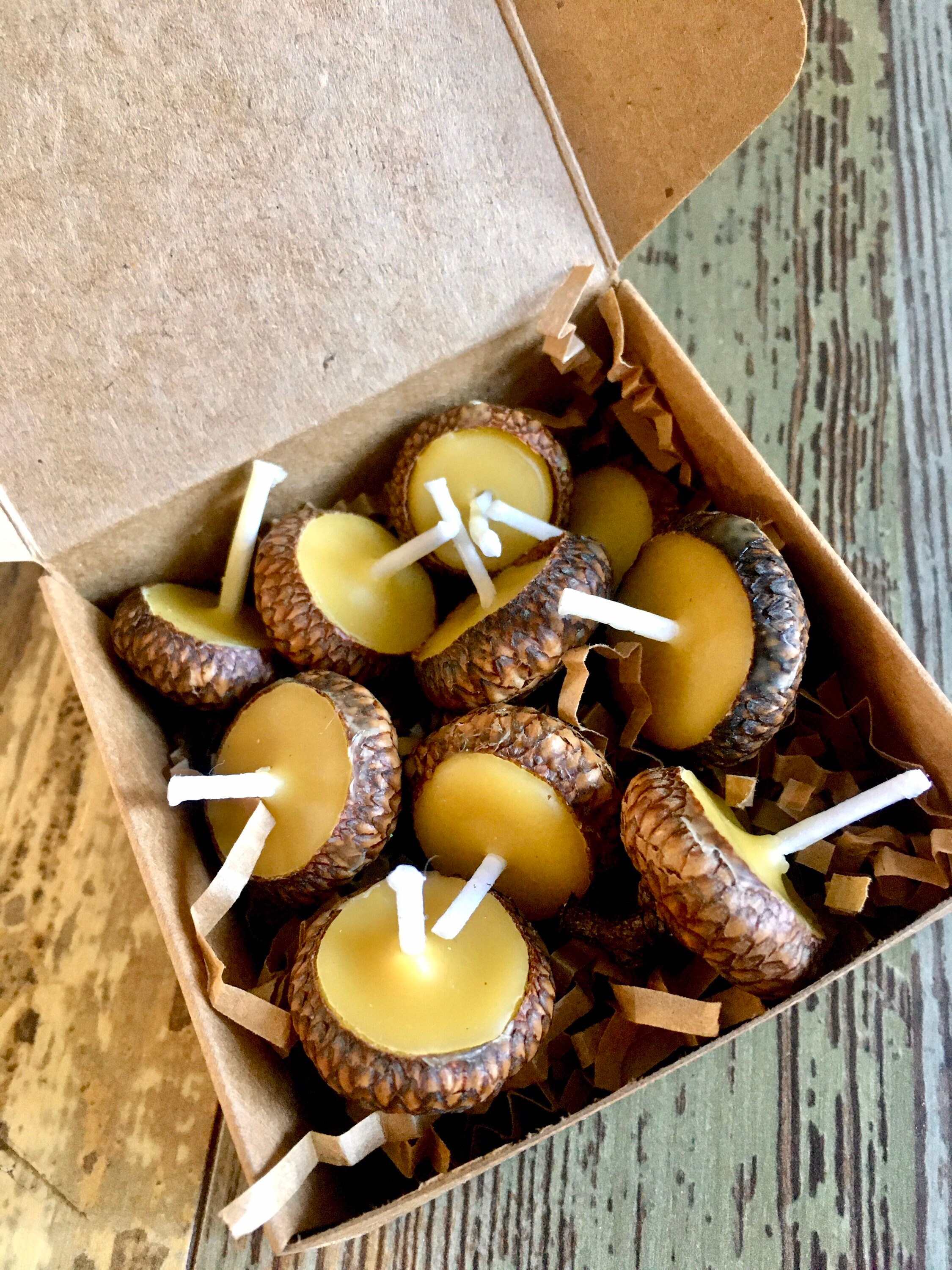 Pure Beeswax Acorn Cap Floating Candles- Sustainably Harvested, Set of ...