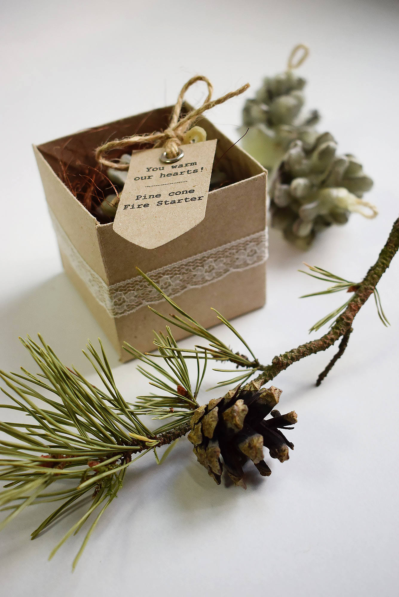 Pine Cone Fire Starters Fireplace Starter Rustic Wedding | Etsy