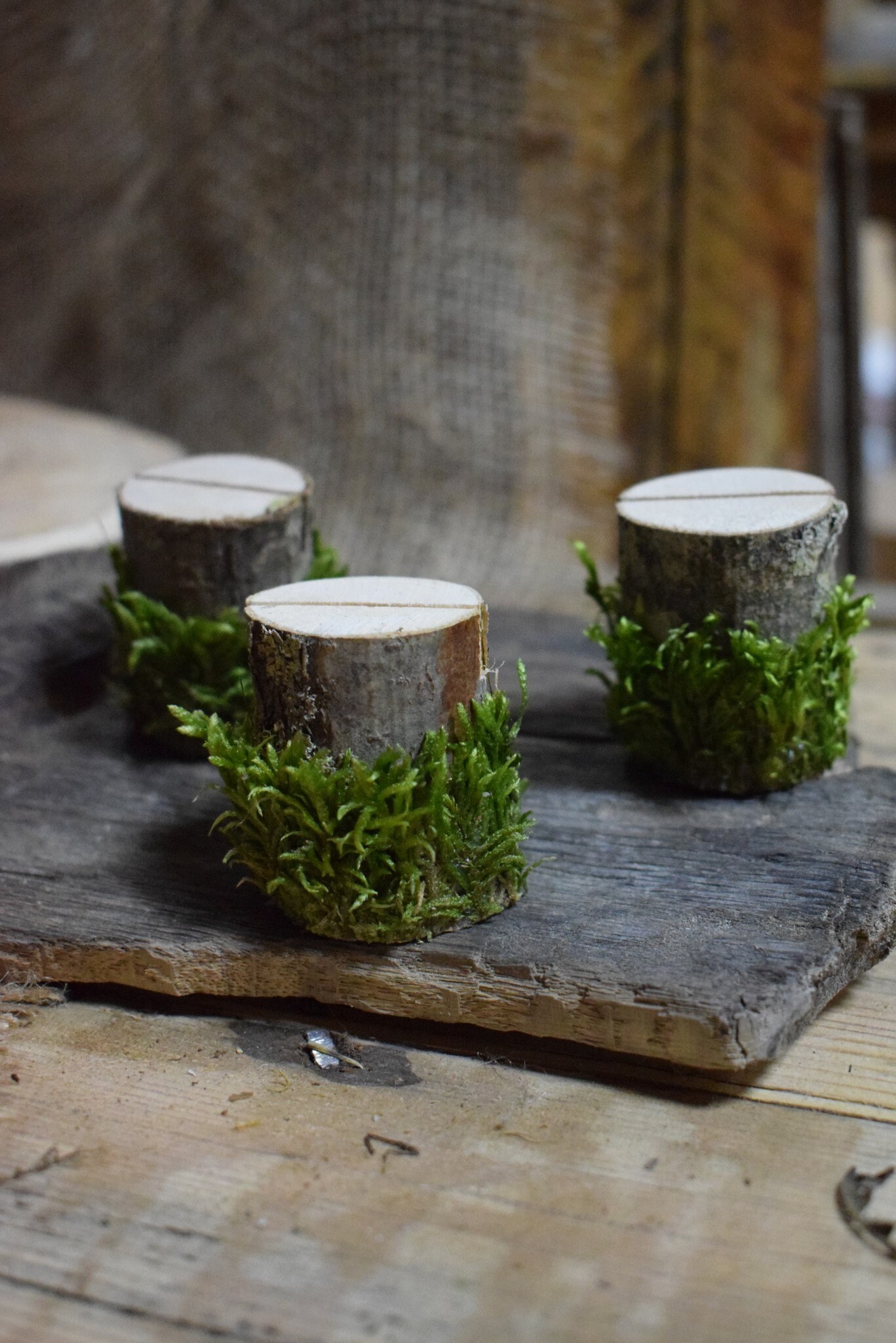 1 Sample Moss Place Card Holder Wooden Forest Wedding Table Decoration ...