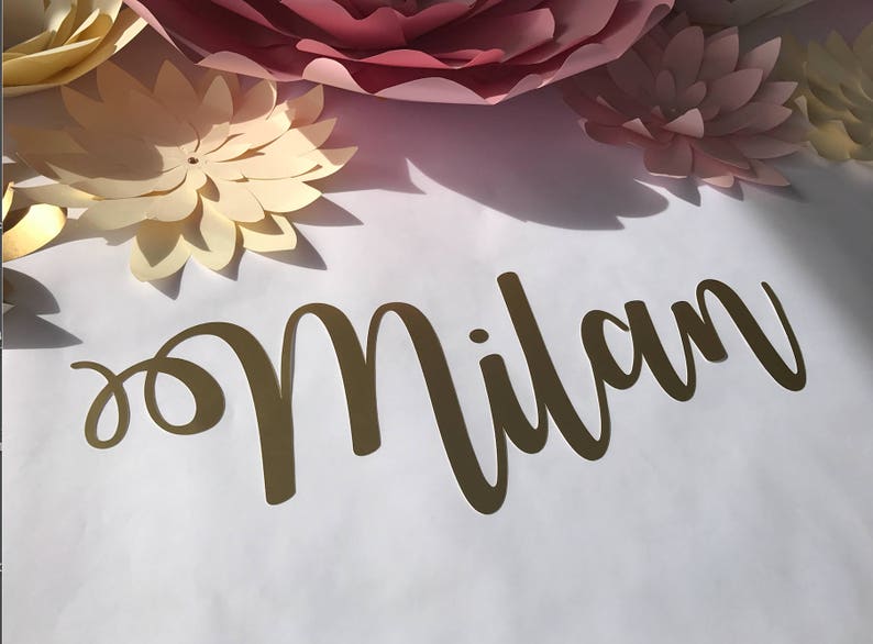 17 Pcs - PAPER FLOWER BACKDROP - All Flowers in Image - Dessert Table ...