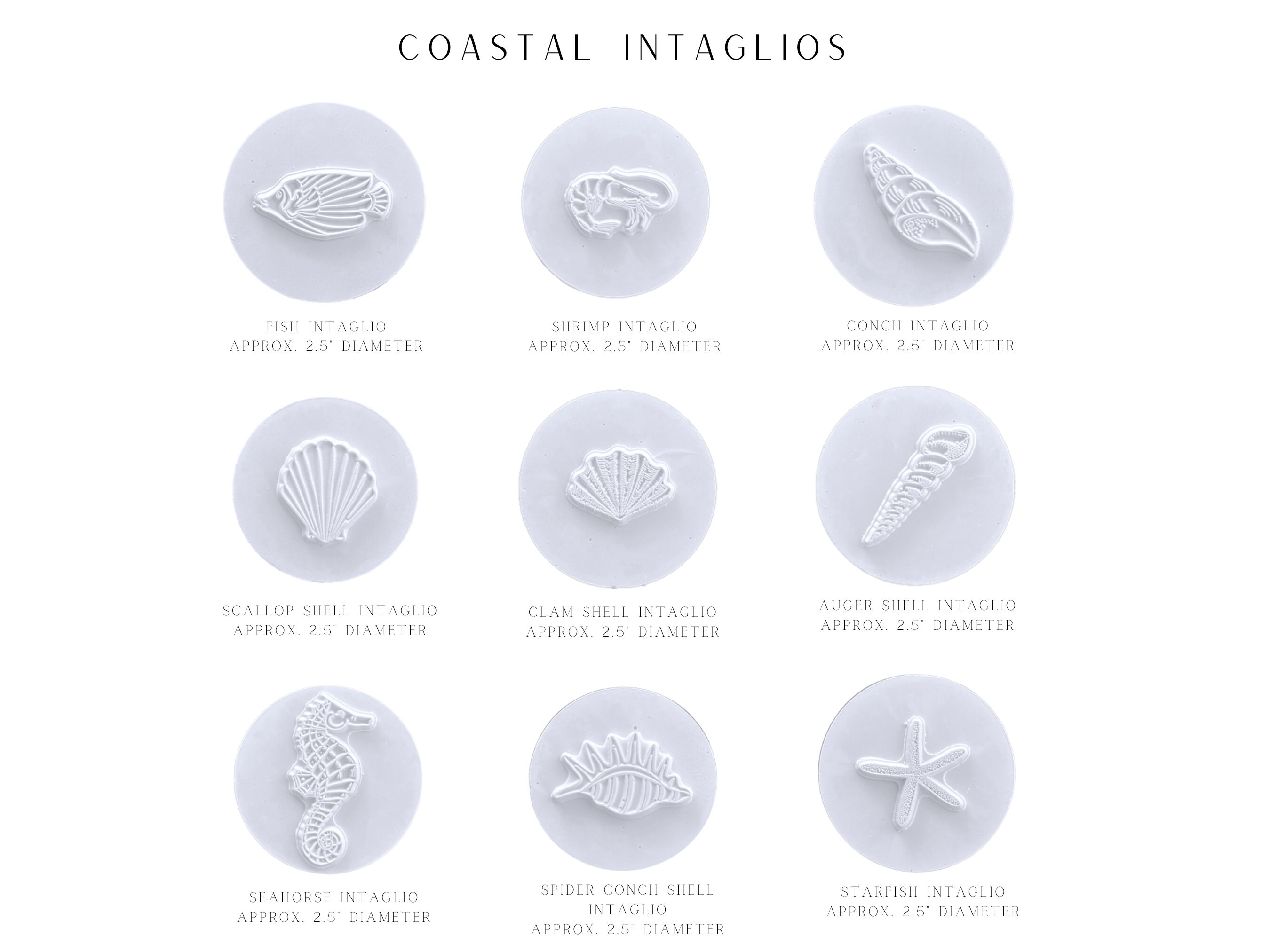 Plaster Intaglios Coastal Intaglios White Grand Tour - Etsy