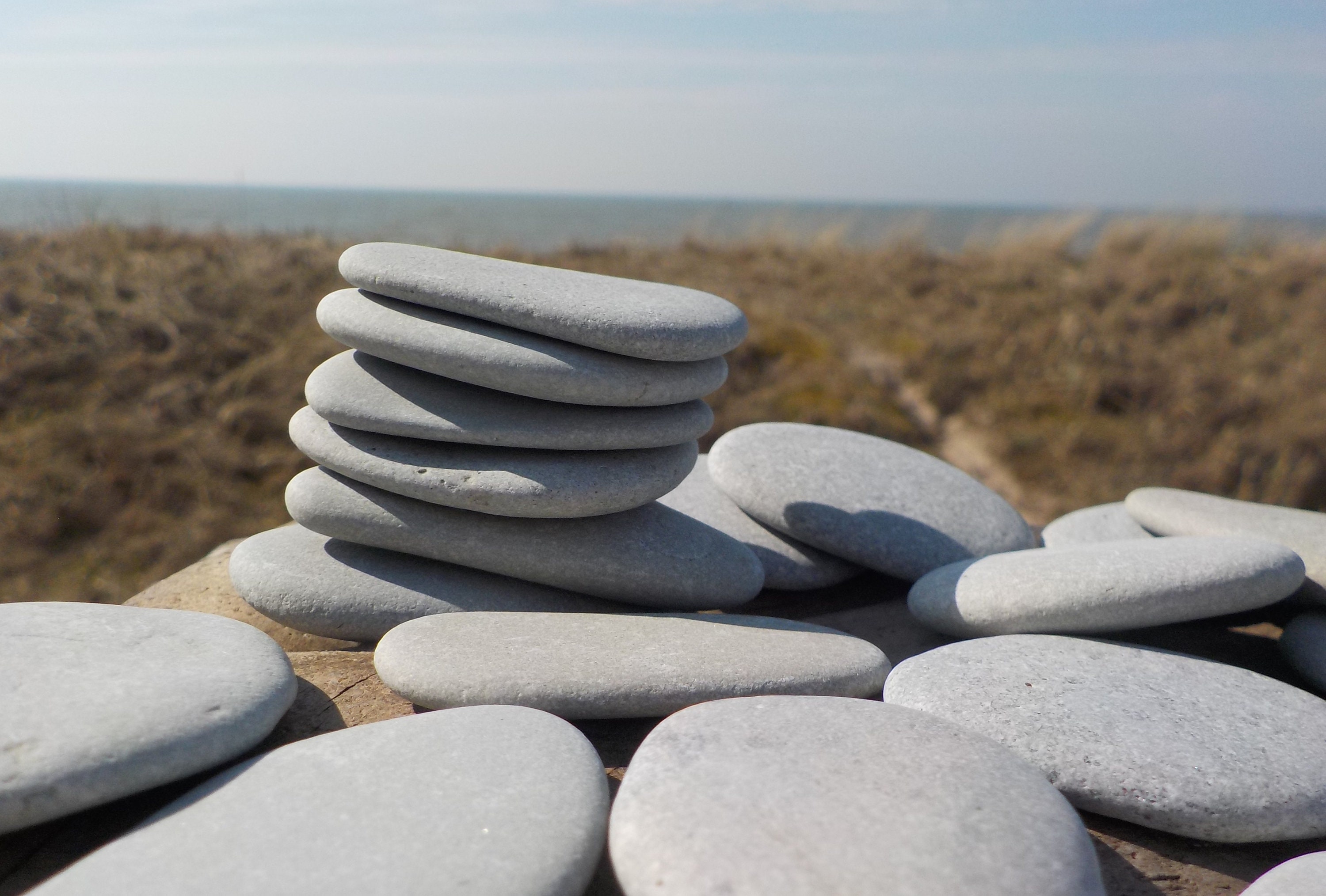 Stone Decor - Set of 20 SMALL Elongated Pebbles 1.2-2"/30-45mm-flat Sea ...